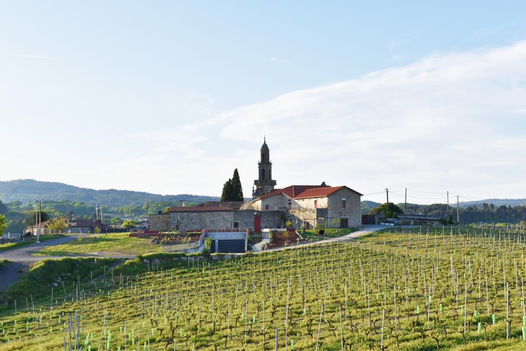 Peñín Wine Tourism guide - Eme Erre Viñadores | Peñín - Penin Guide